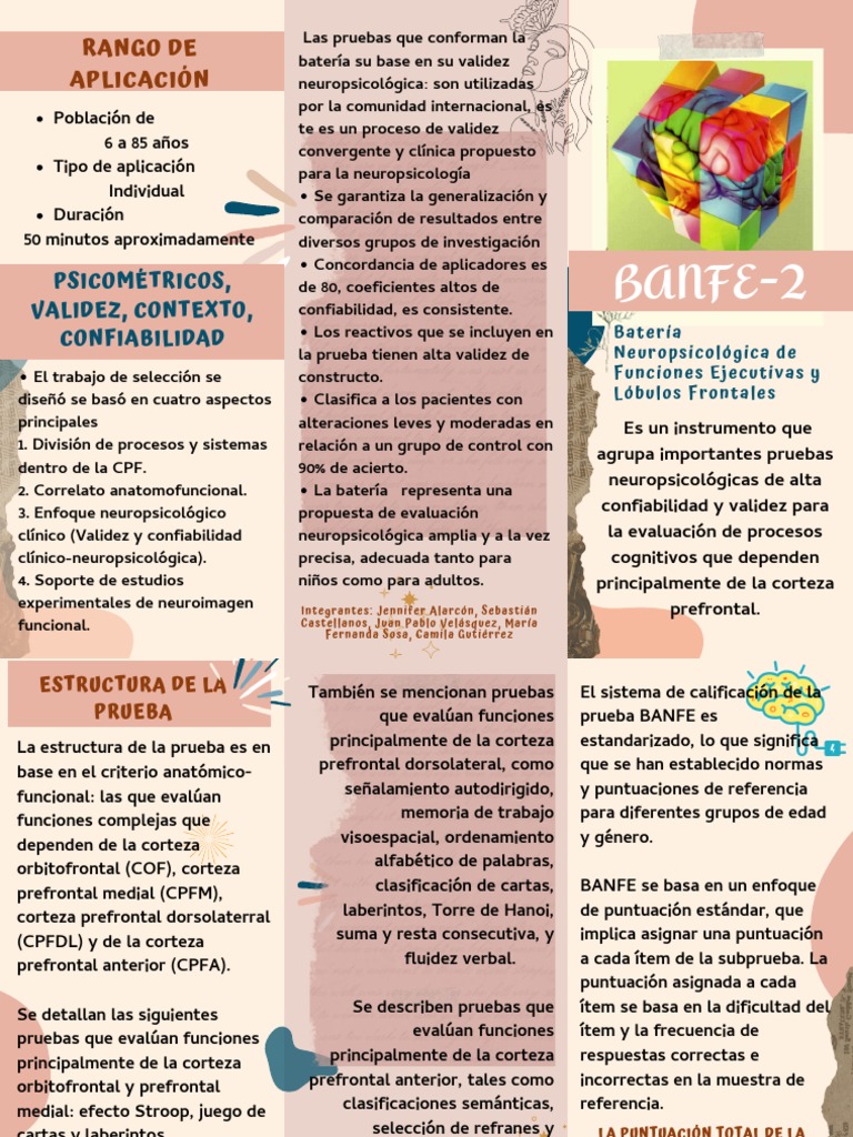 Banfe-2: Rango de Aplicación | PDF | Validez (Estadísticas) | Corteza ...