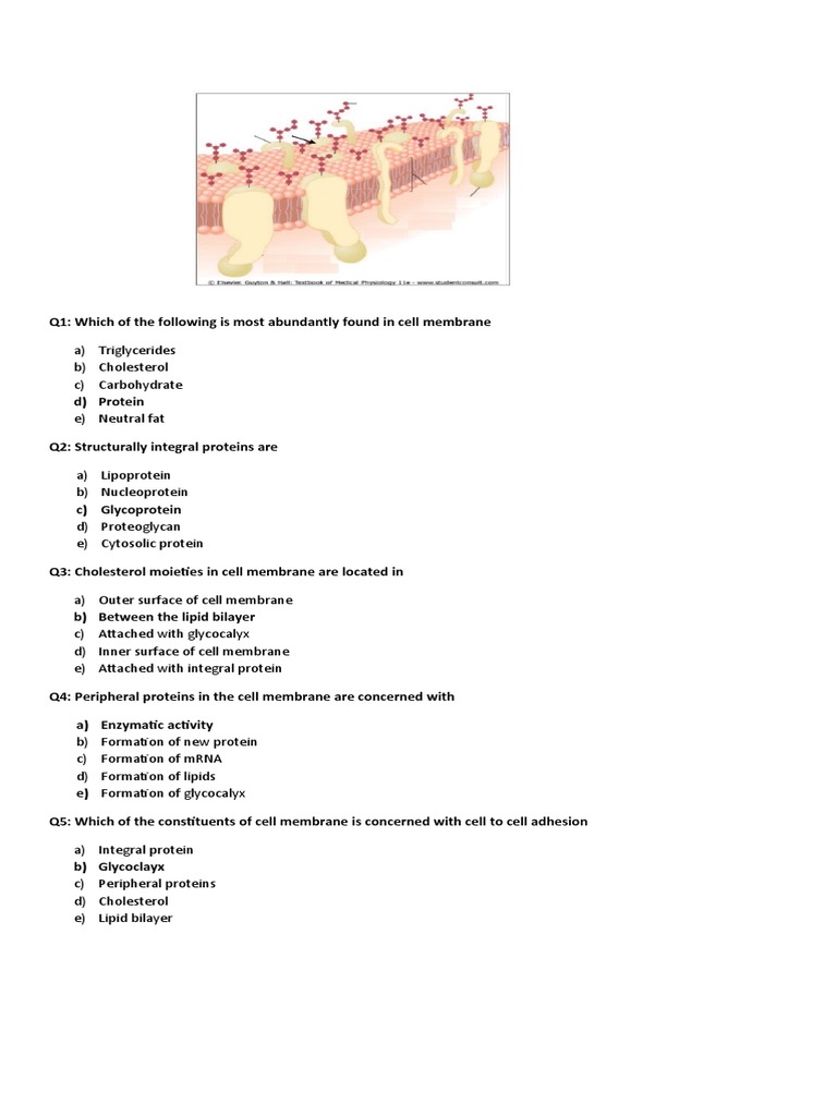 Ospe BDS Mock | PDF | Stomach | Cell Membrane