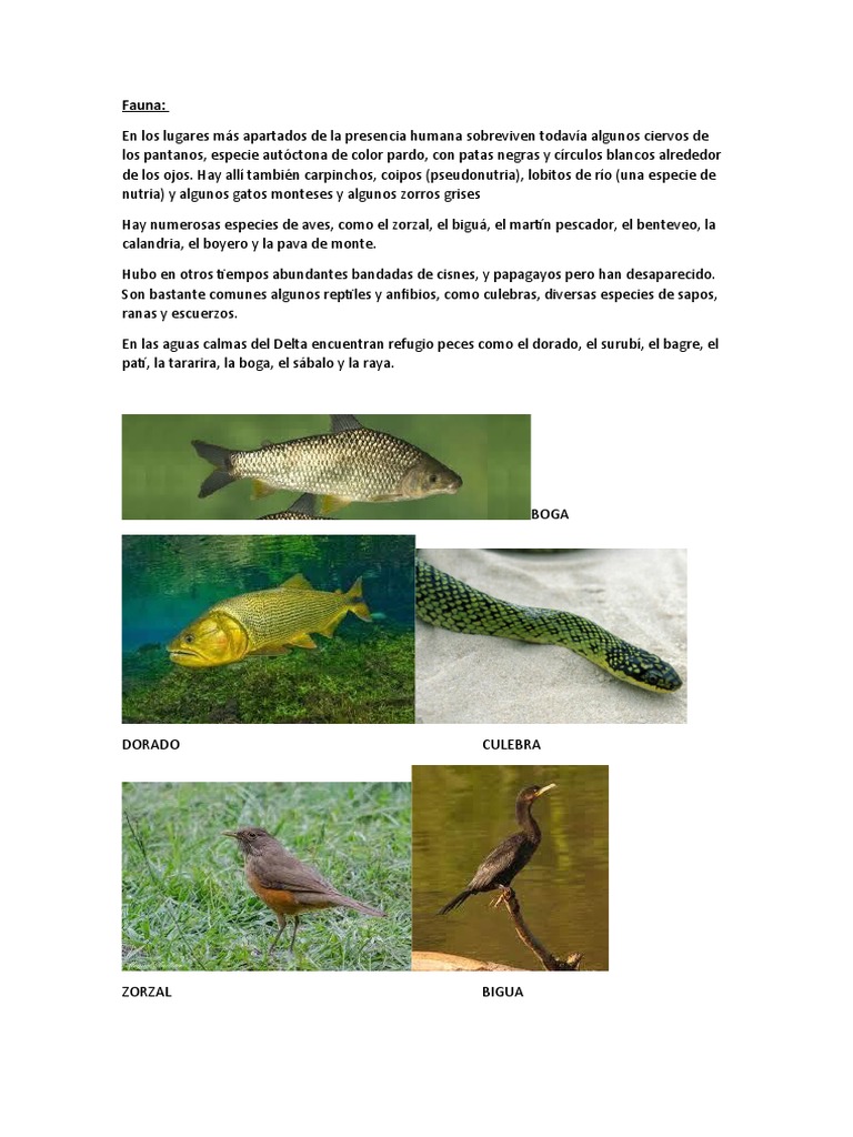 Fauna y Flora del Delta: Especies Destacadas | PDF