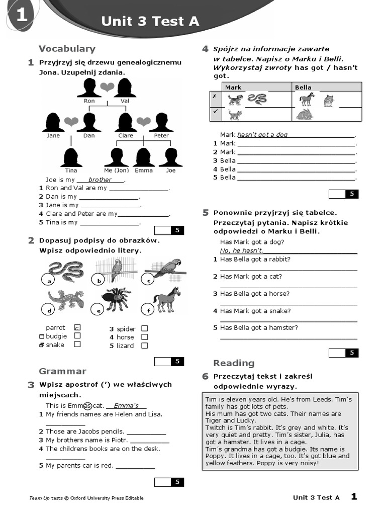 Team Up 1 Unit 3 Tests ABC | PDF