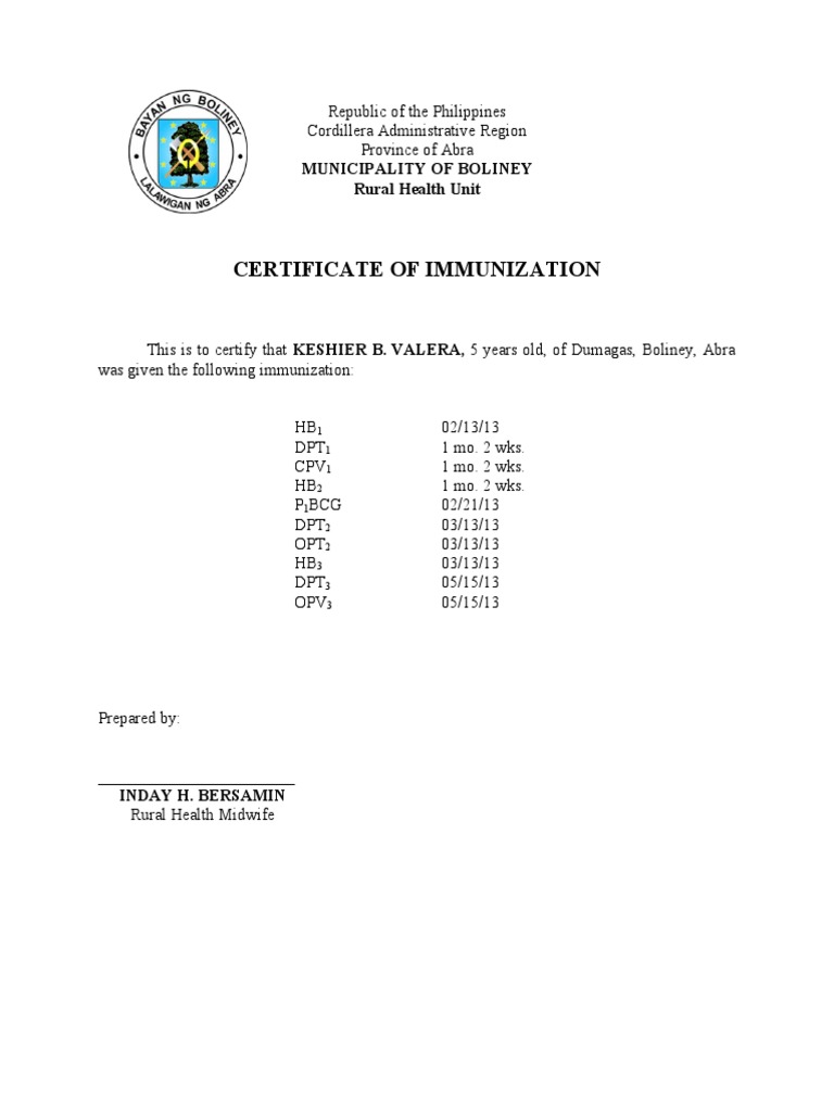 Rural Health Unit - Boliney Abra | PDF