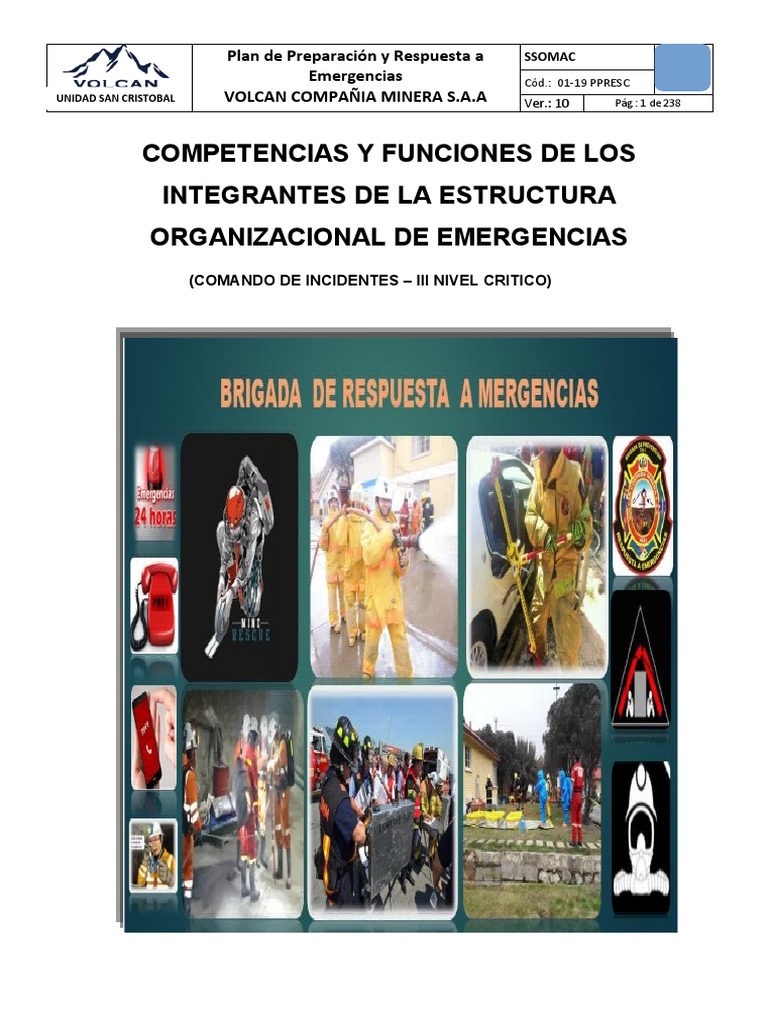Copetencias y Funciones Brigada Comite de Crisis - Nivel III | PDF | Planificación | Logística