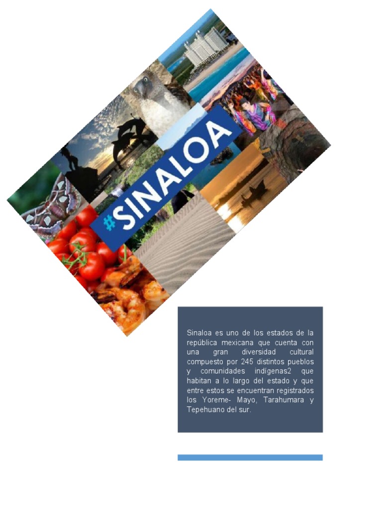 Sinaloa | PDF