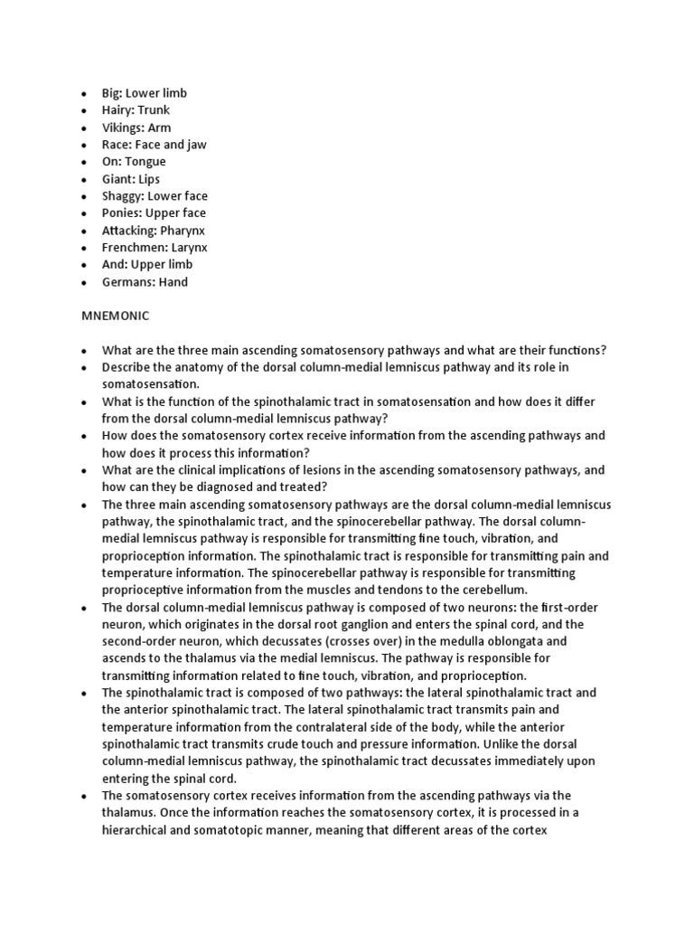 Ascending Tracts MENMONIC AND Summary | PDF | Somatosensory System ...