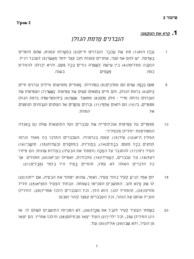 Horaa Gimel 2 | PDF