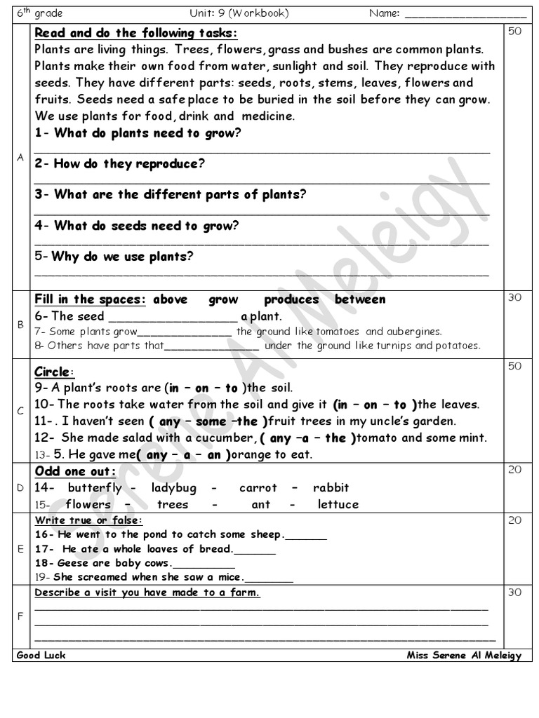 Plant Basics for 6th Graders | PDF | Plants | Tomato