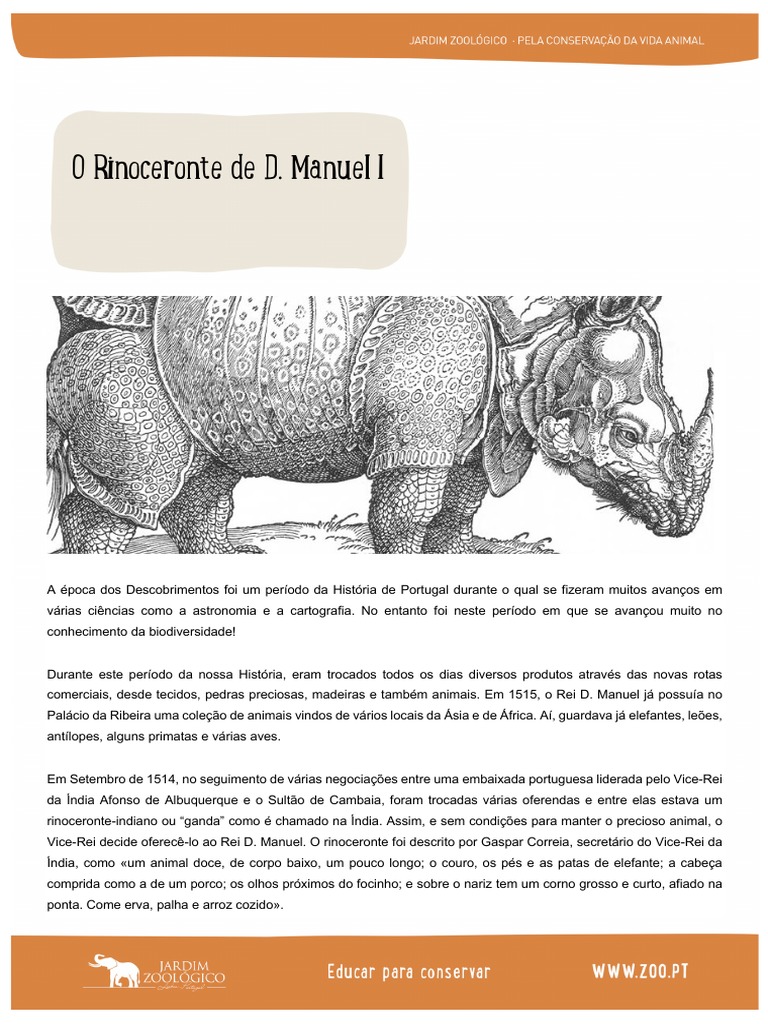 3ciclo Descobrimentos o Rinoceronte de D Manuel I | PDF