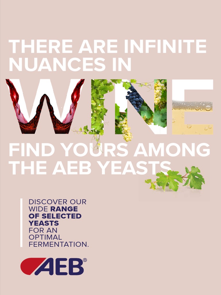 Yeast Selection Guide for Top Wine Fermentation | PDF | Fermentation In ...