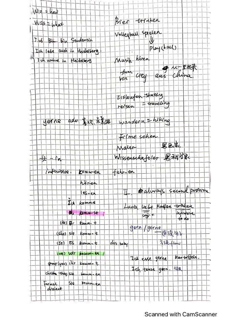 A1 German Notes | PDF
