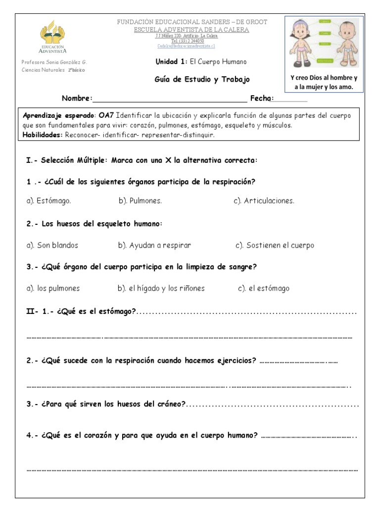 Guia de Studio y Trabajo El Cuerpo Humano | PDF | Morfología (biología ...