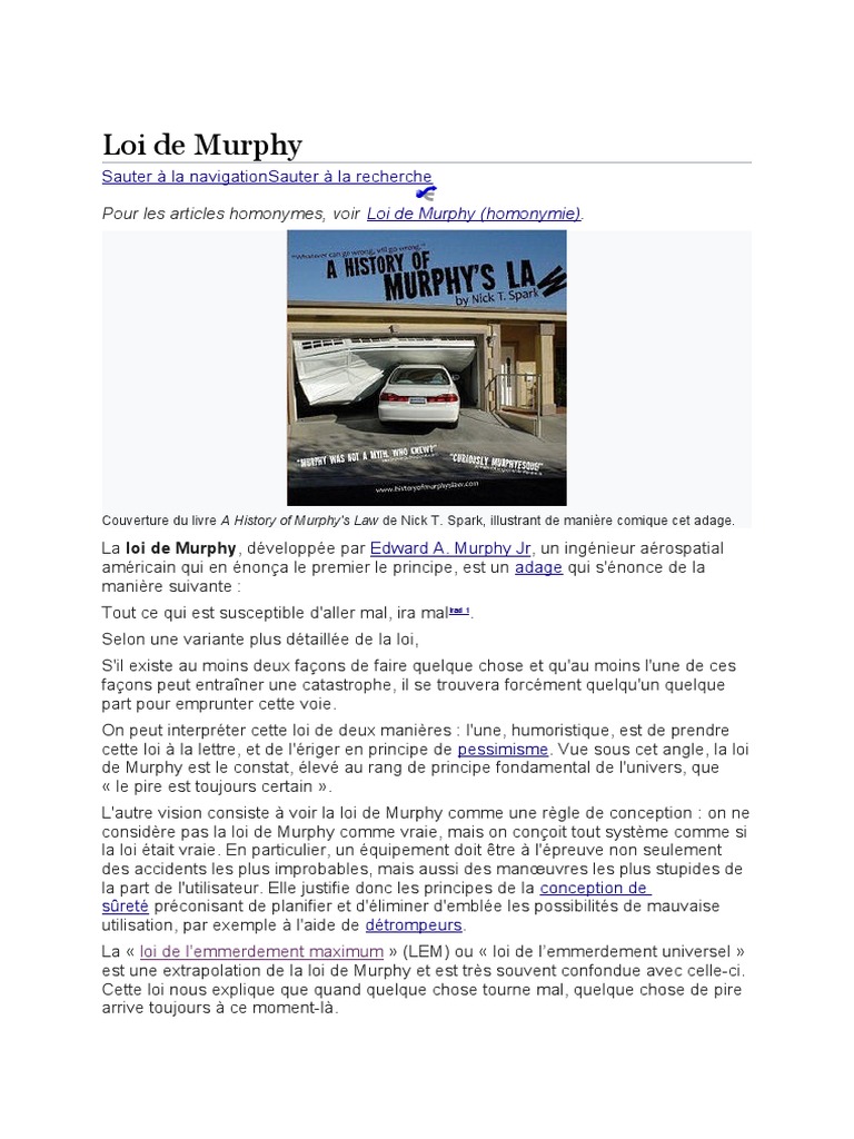 Loi de Murphy | PDF