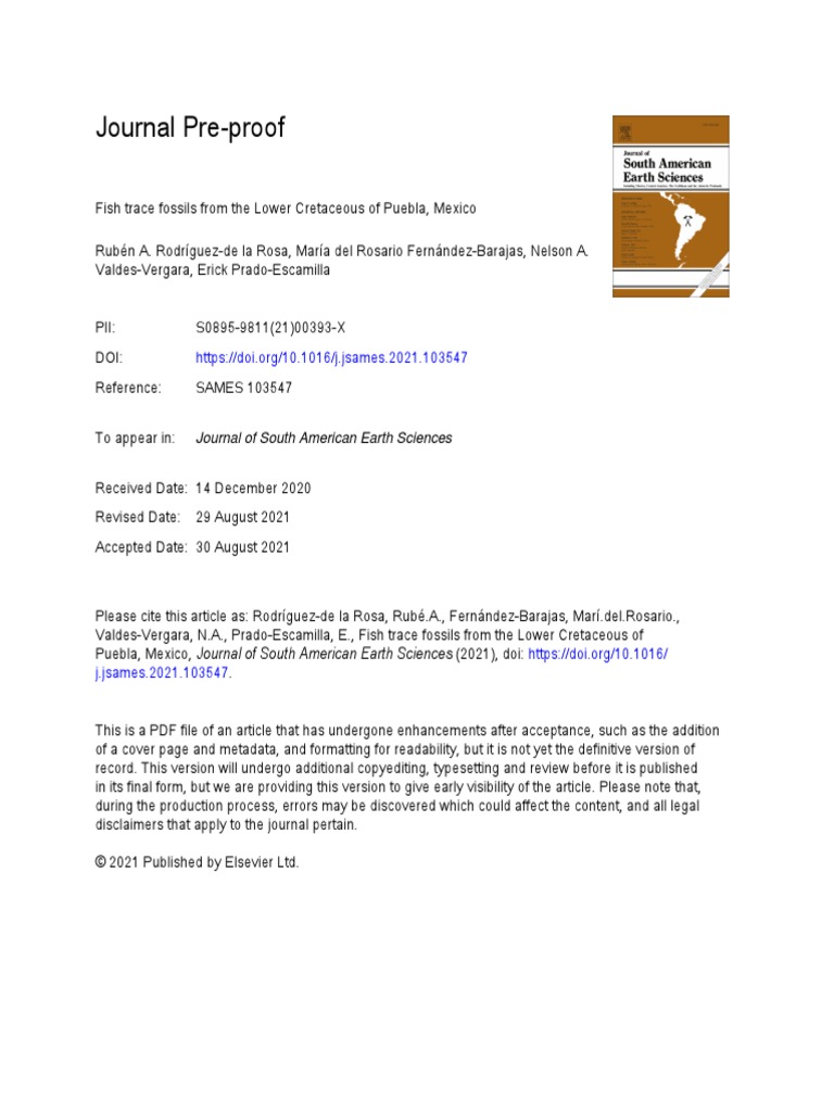 Fish Trace Fossils From The Lower Cretaceous of Puebla, Mexico | PDF ...