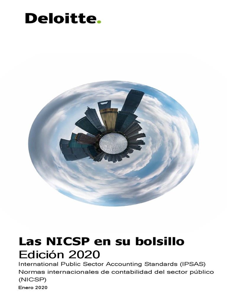 Las NICSP en Su Bolsillo: Edición 2020 | PDF | normas internacionales ...