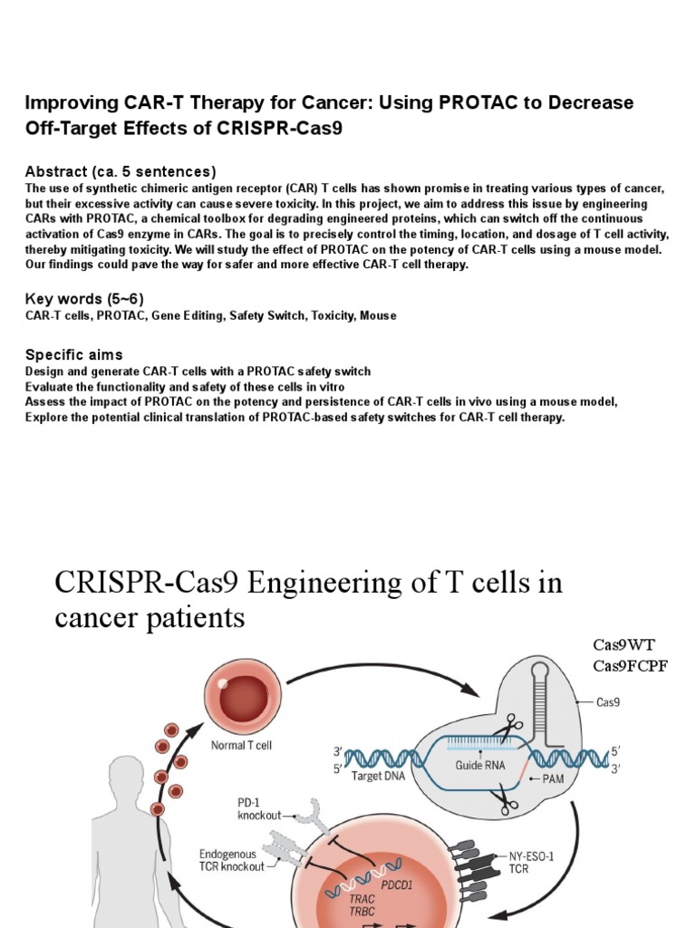 Improving CAR-T Therapy For Cancer: Using PROTAC To Decrease Off-Target ...