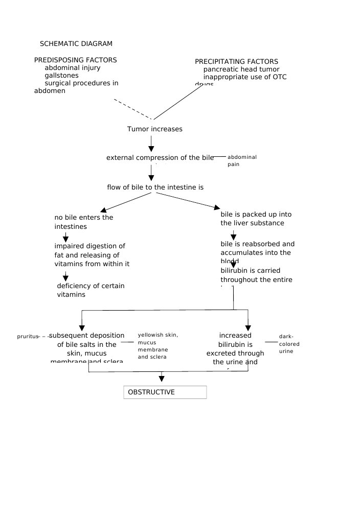 Obstructive Jaundice Pathophysiology Diagram | PDF
