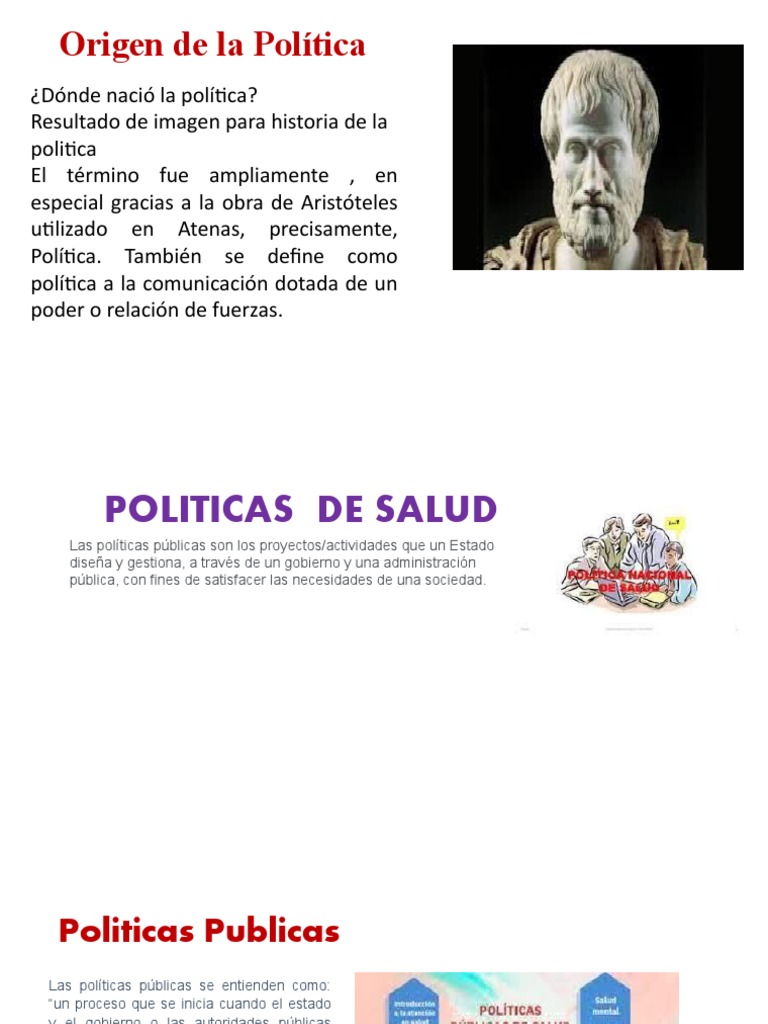 Politicas de Salud | PDF