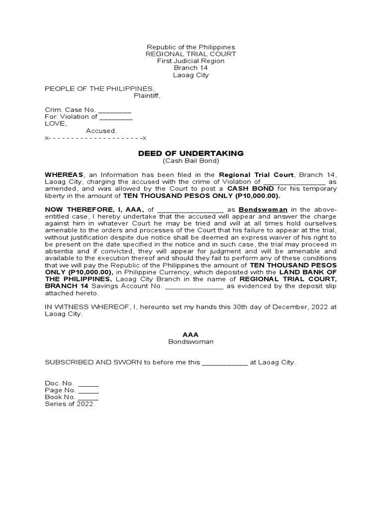 Cash Bail Bond Undertaking Document | PDF