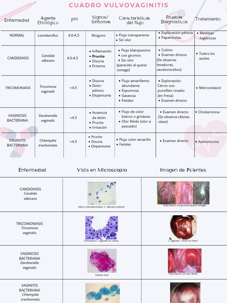 Cuadro VULVOVAGINITIS | PDF | Candidiasis | Medicina CLINICA