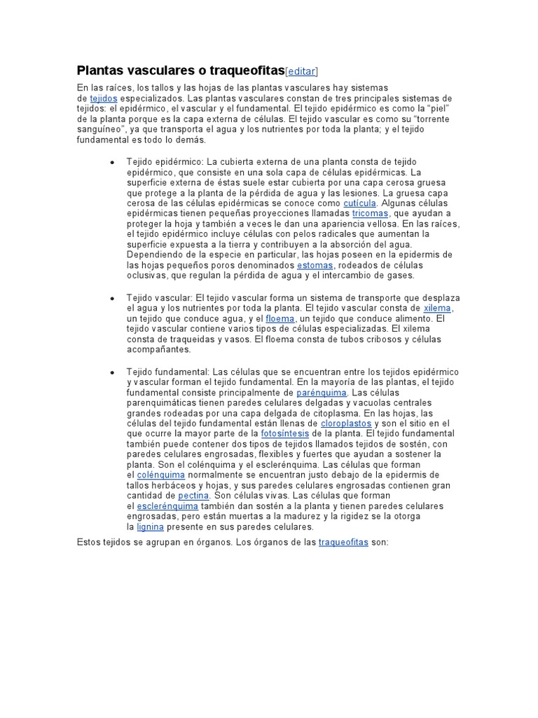 Plantas Vasculares o Traqueofitas | PDF | Hoja | Morfología (biología)