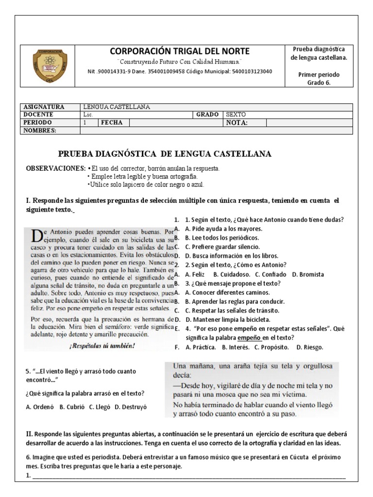 Prueba Diagnóstica Lengua Castellana 6° | PDF