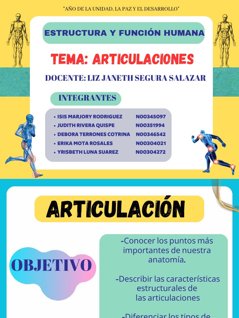 Clasificación de Las Articulaciones PDF | PDF | Articulación | Sistema musculoesquelético