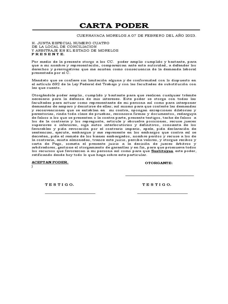 Carta Poder Formato | PDF