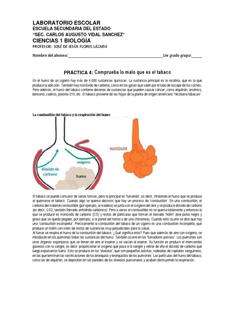 Practica 4 El Cigarro | PDF | Pulmón | Fumar