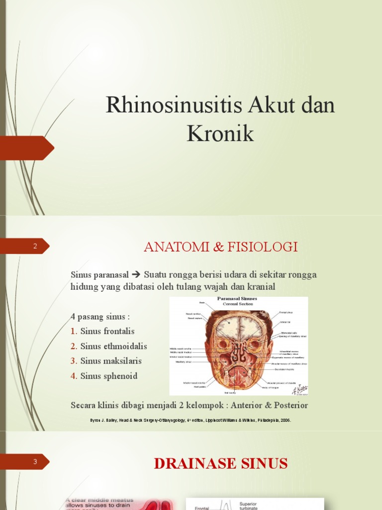 Rhinosinusitis Akut Dan Kronik (Dr. Lina) | PDF