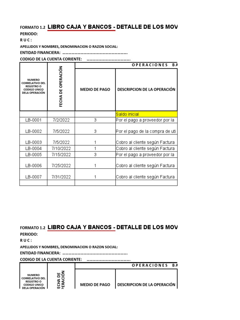 Formato Libros Contables | PDF | Contabilidad | Bancos