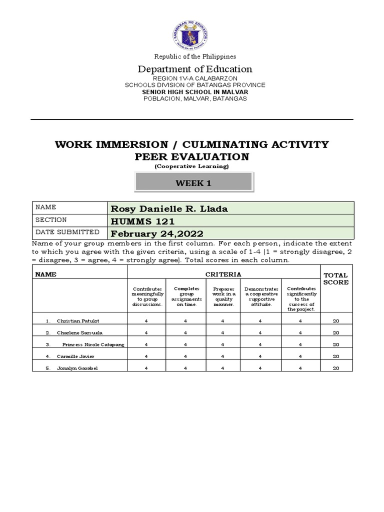 Work Immersion / Culminating Activity Peer Evaluation: Department of ...