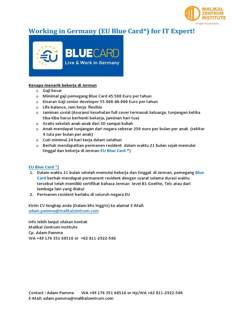 Working in Germany-EU Blue Card | PDF