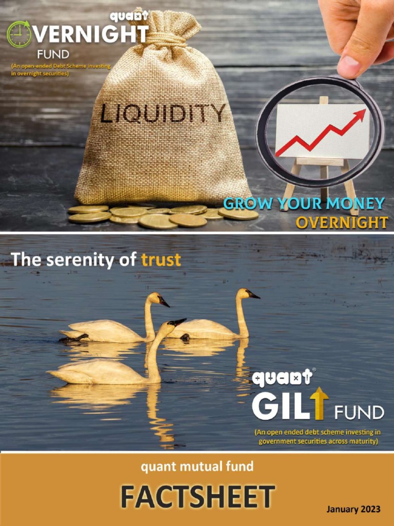 Quant Factsheet January 2023 | PDF | Investing | Sharpe Ratio