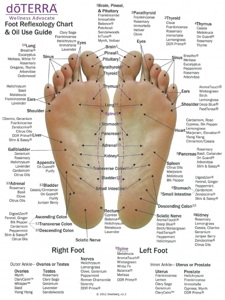 Reflexology Chart For Essential Oils | PDF