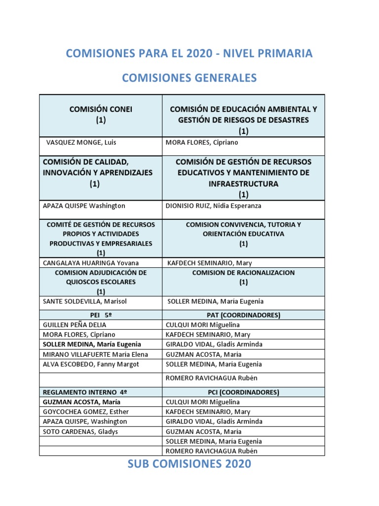 COMISIONES PARA EL 2020 DAR Delia | PDF