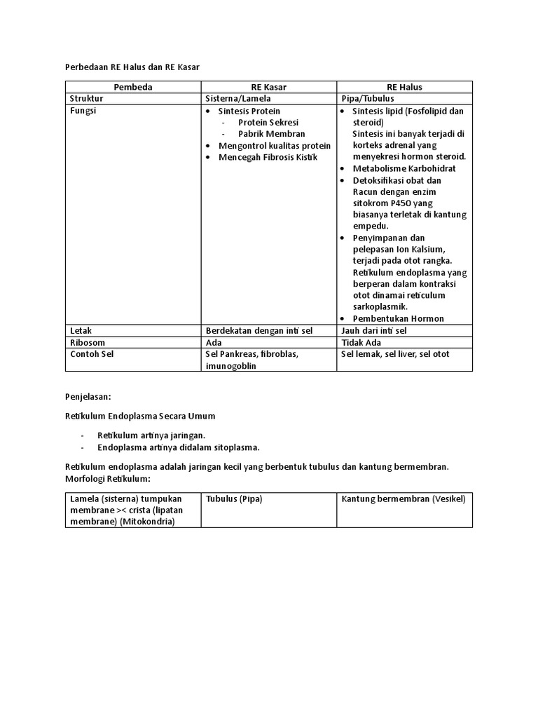 RE Halus dan Kasar | PDF