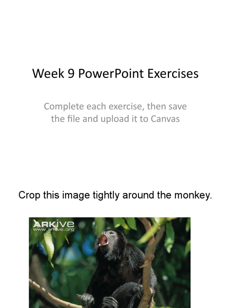 Week 9 Abit 211 Lab Exercises PowerPoint-1 | PDF | Computers