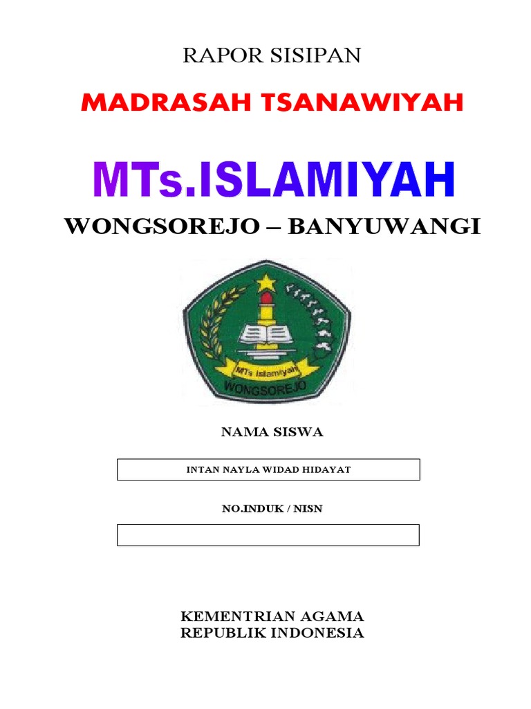 Cover Raport Sisipan 8 Exc 20-21 | PDF