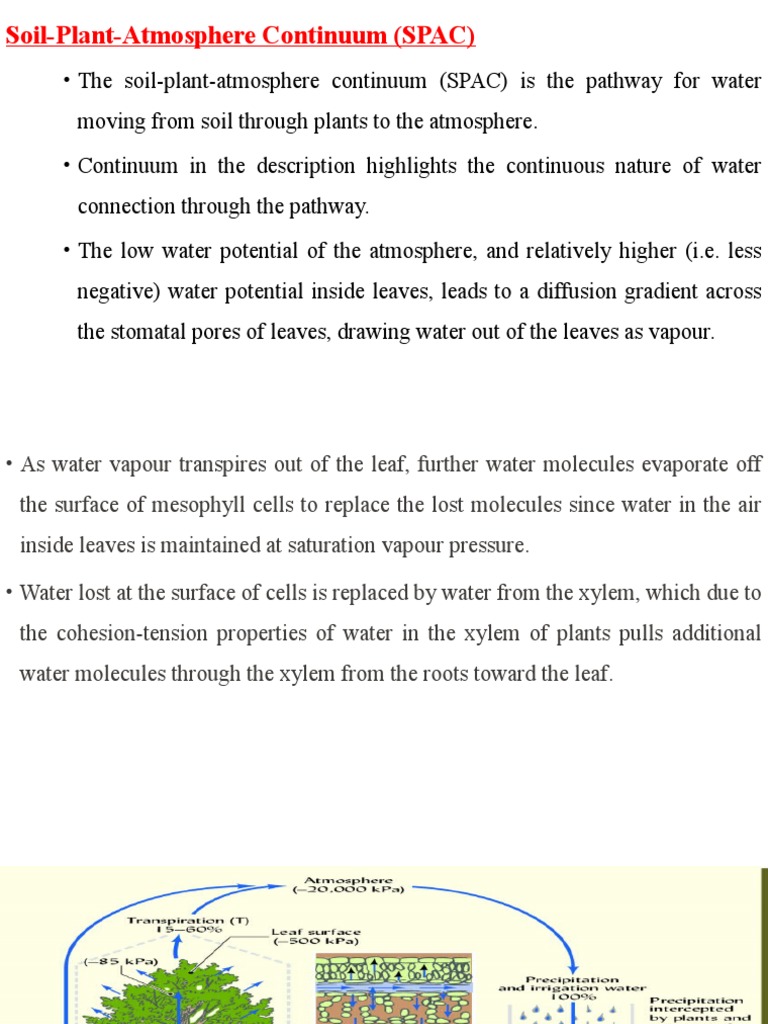 1-2) System Approach For Representing Soil-plant-Atmospheric Continuum ...