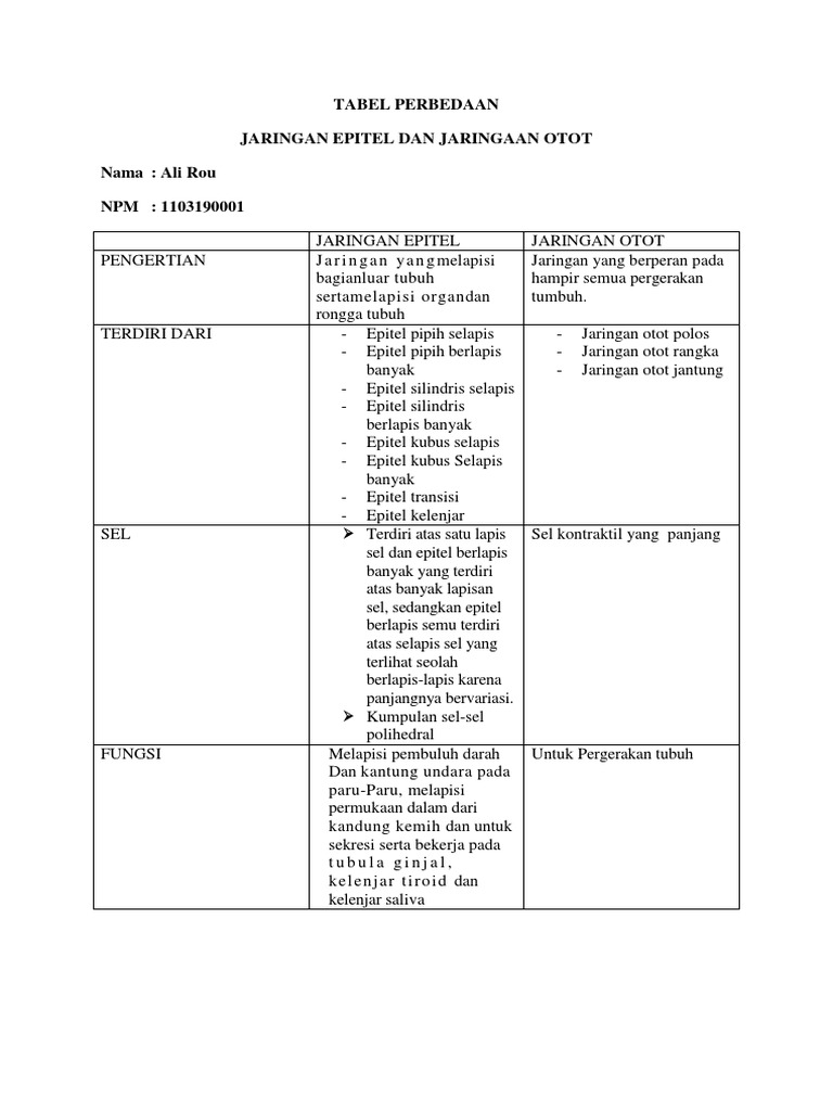 Tabel Perbedaan Jaringan Epitel Dan Jaringaan Otot Nama: Ali Rou NPM ...