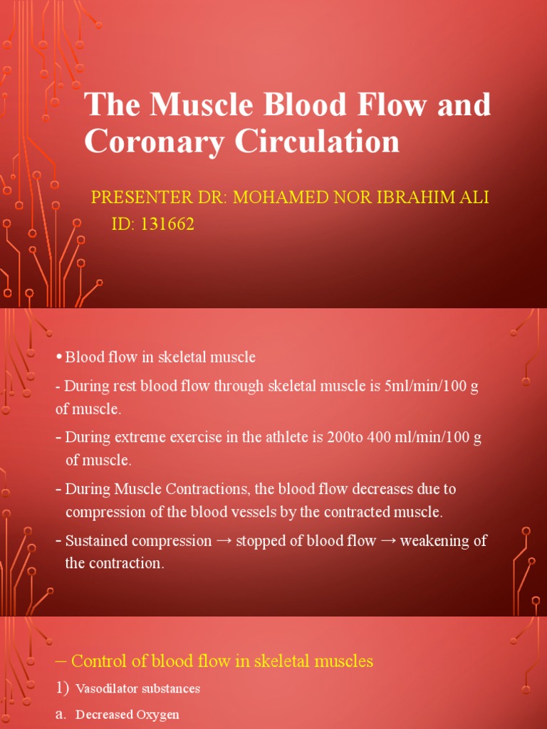 The Muscle Blood Flow and Coronary Circulation | PDF | Coronary ...
