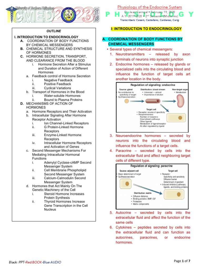 Topic3.1 Physiology Introduction To Endocrinology | PDF