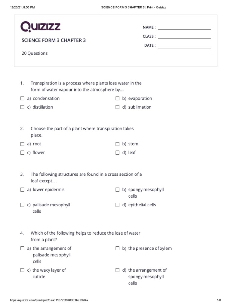 Science Form 3 Chapter 3: Name: Class: Date | PDF | Leaf | Stoma