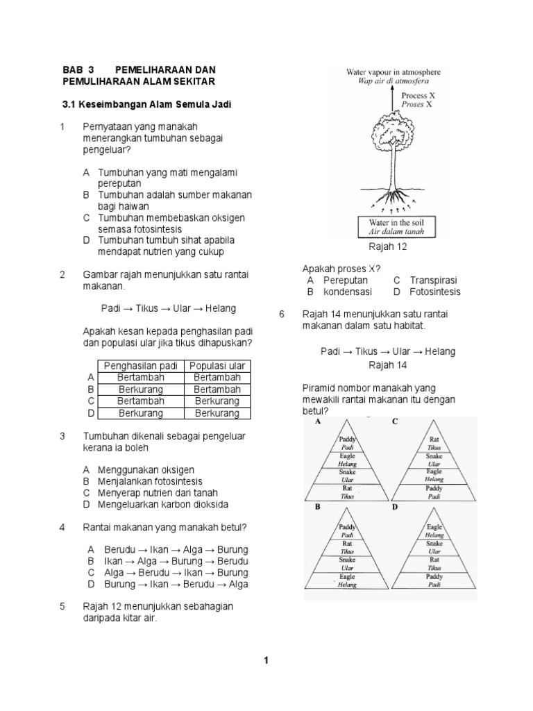 Latihan Bab 3 F5 | PDF