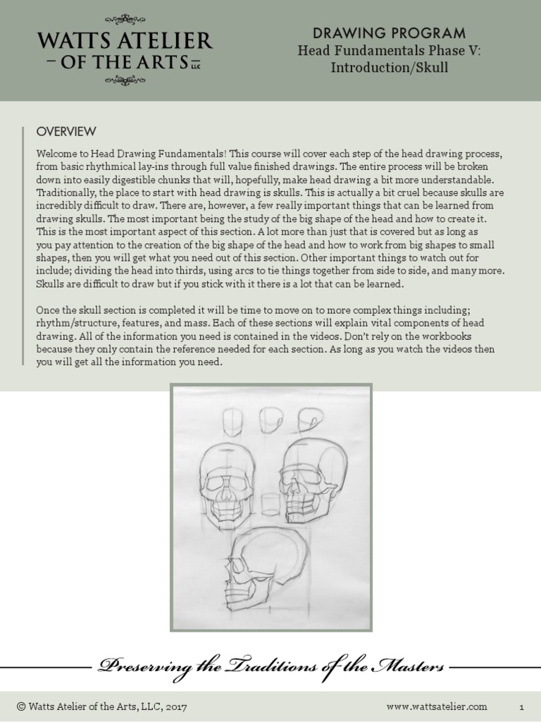 Drawing Program Head Fundamentals Phase V: Introduction/Skull | PDF