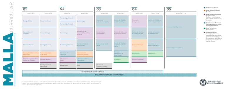 Malla Enfermeria 2021 | Descargar gratis PDF | Enfermería | Salud mental