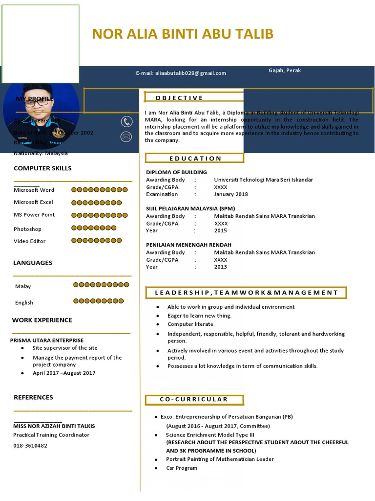 2 Resume Template | PDF | Cognition
