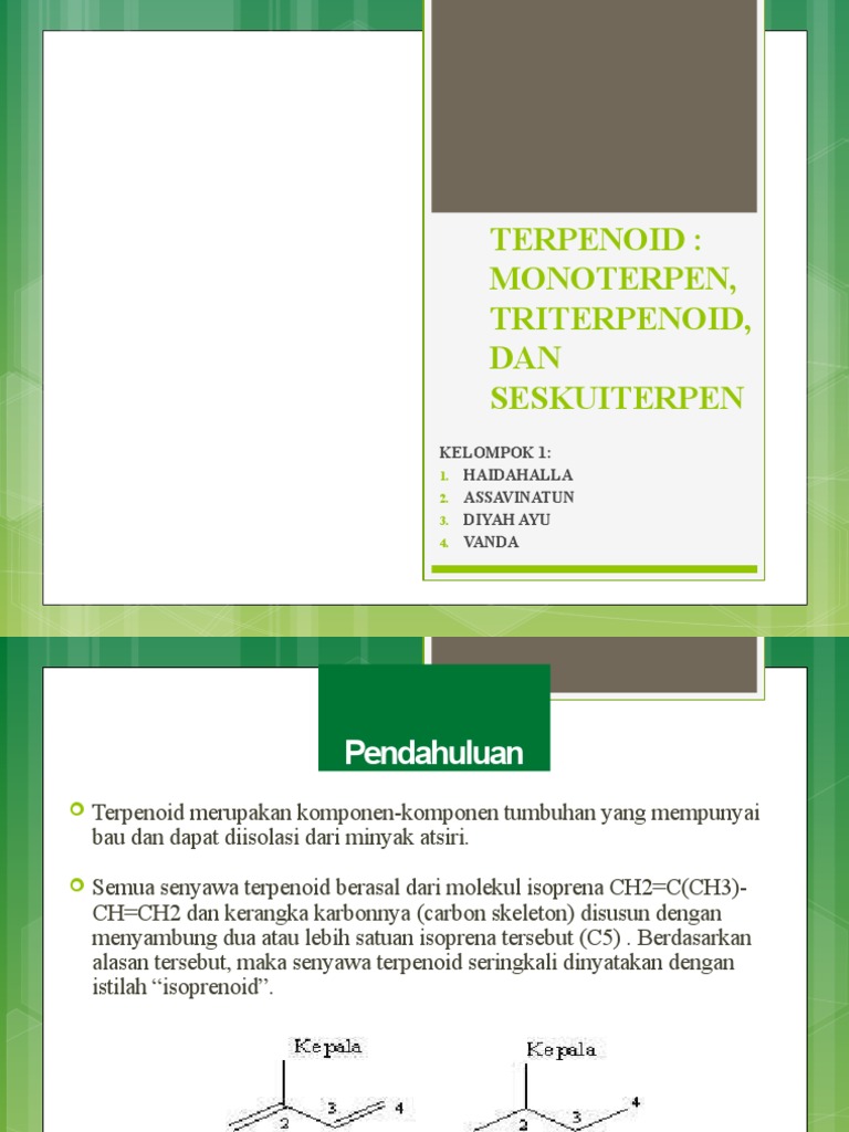 Terpenoid: Monoterpen, Triterpenoid, DAN Seskuiterpen: Kelompok 1 ...