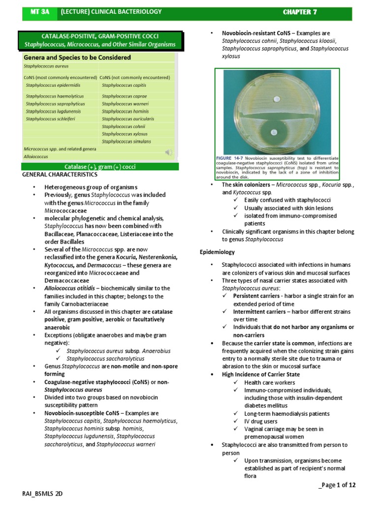 Chapter 7 CATALASE POSITIVE GRAM POSITIVE COCCI | PDF | Staphylococcus ...