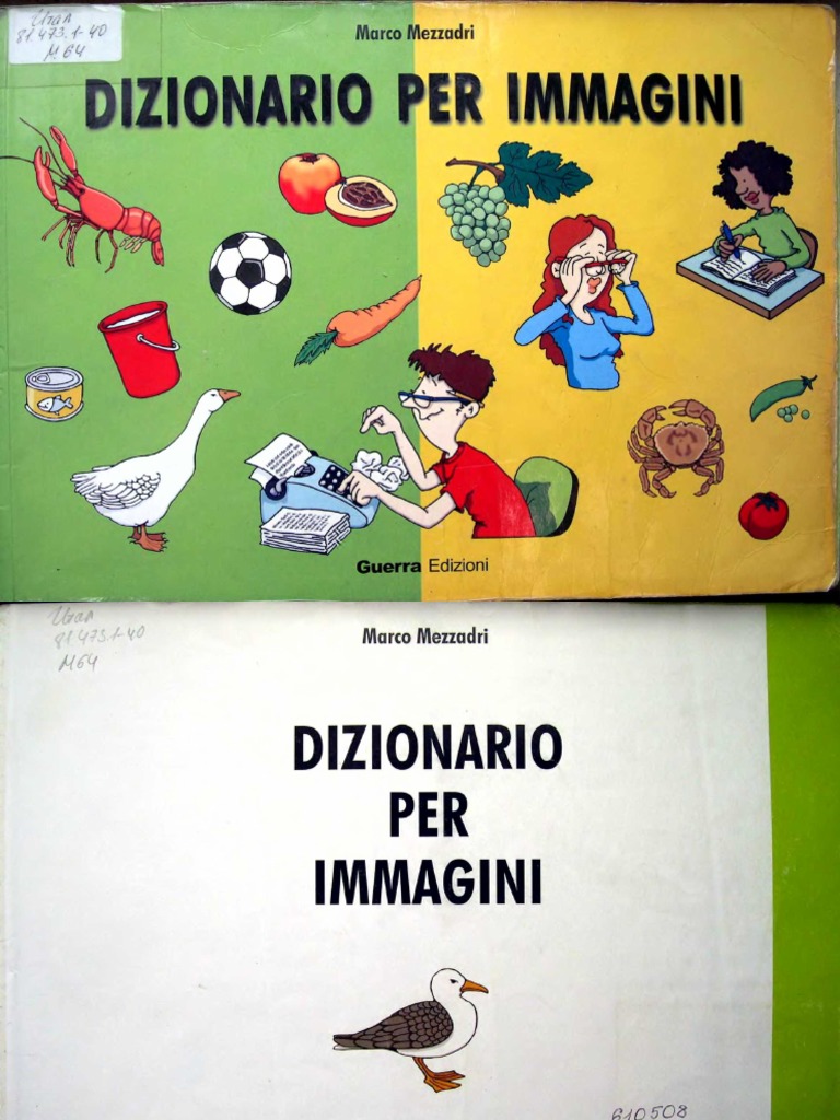 Dizionario Per Immagini | PDF
