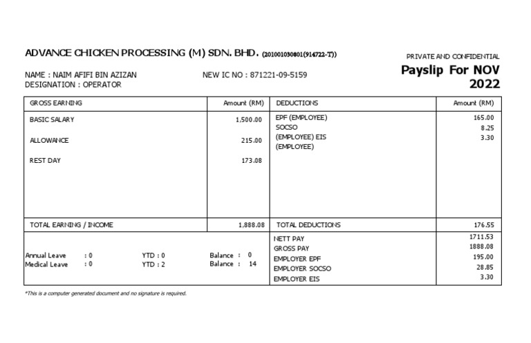 November 2022 Payslip Summary | PDF